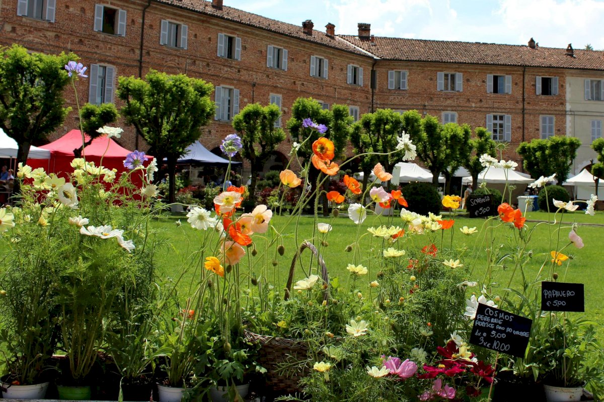 Florete Flores torna a Vicoforte tra fiori, vivai e cultura botanica ...
